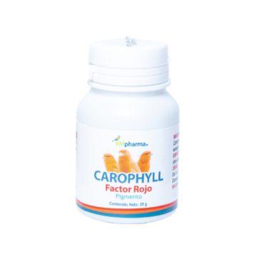 Carophyll Rojo 20 g – Alimento para Aves y Aves Silvestres de Alta ...